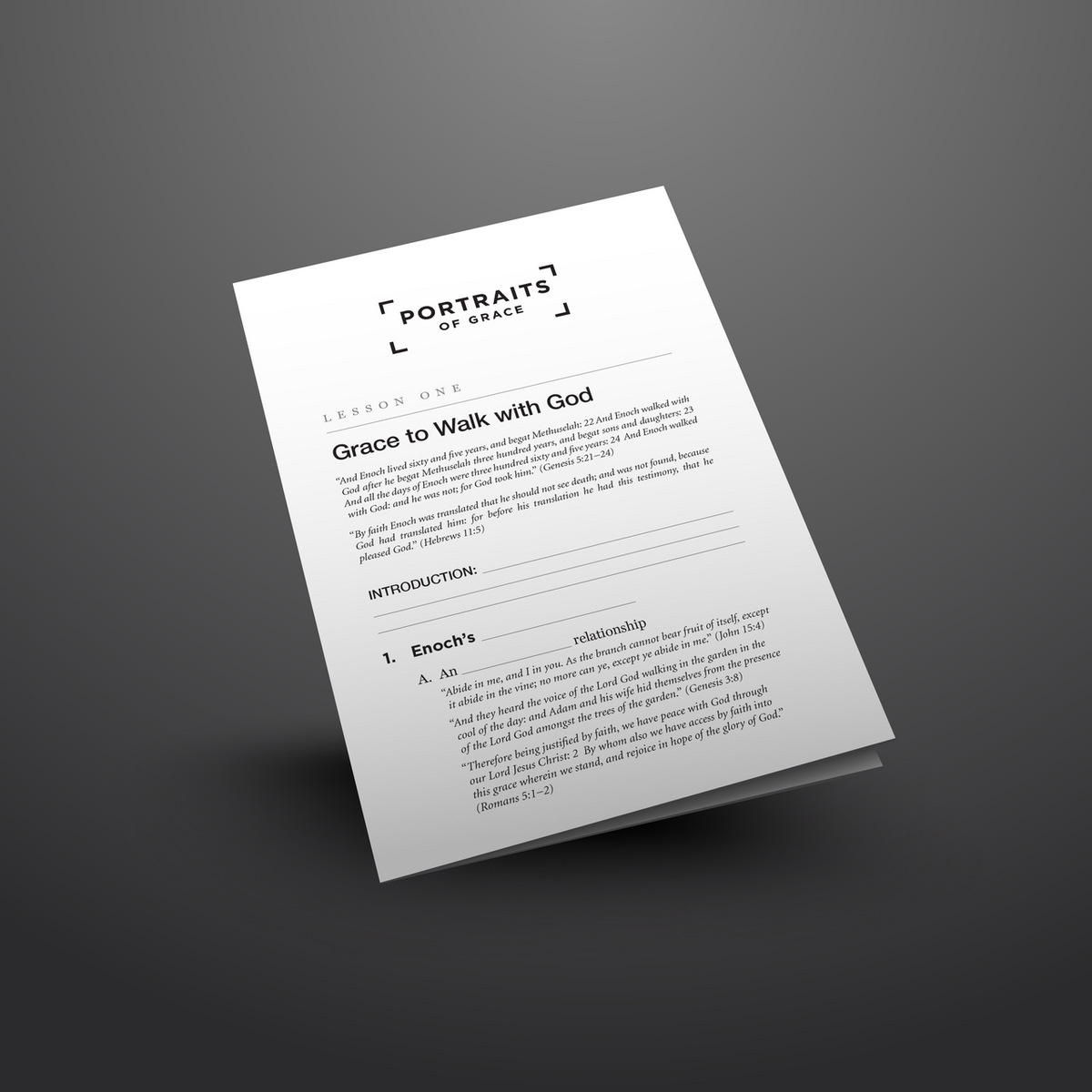 Portraits of Grace Teaching Assets